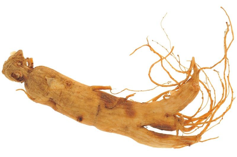 Panax Ginseng Asian Ginseng White Ginseng Red Ginseng Benefits