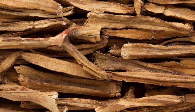 Cissus Quadrangularis | Hadjod Benefits, Medicinal Uses & Side Effects