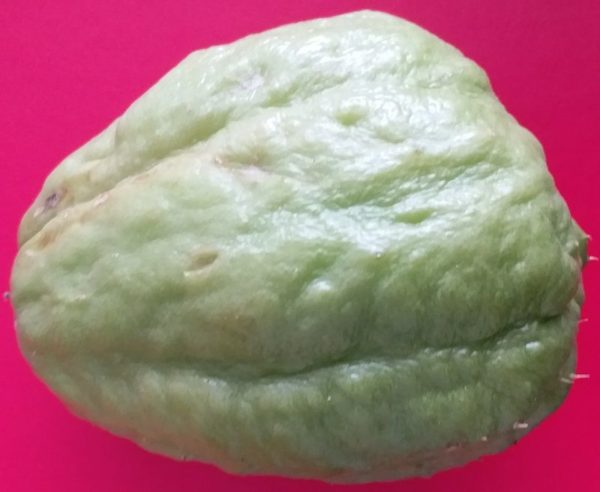 Chayote Benefits and Medicinal Uses - Ayur Times